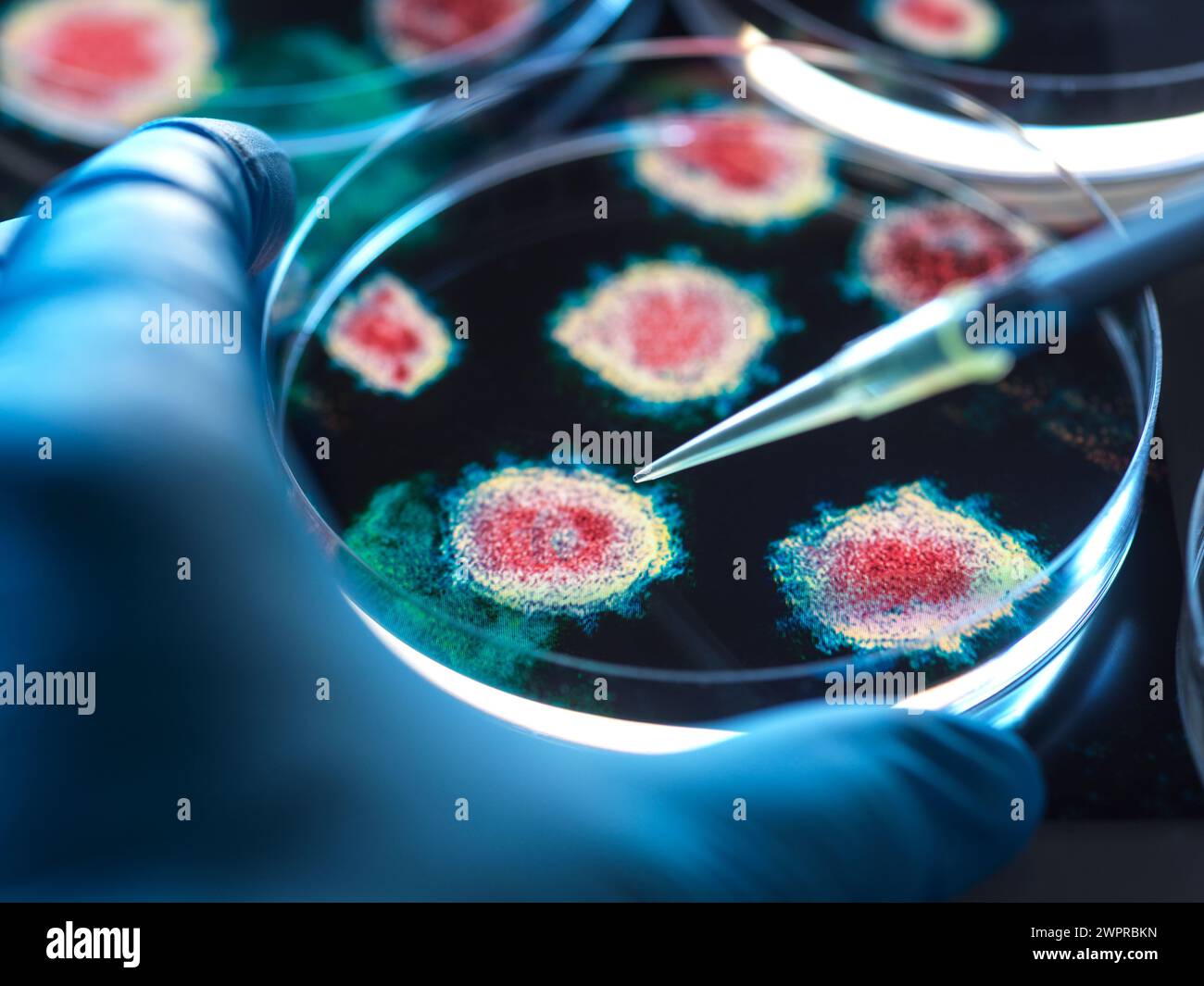 Virus research, conceptual image Stock Photo - Alamy