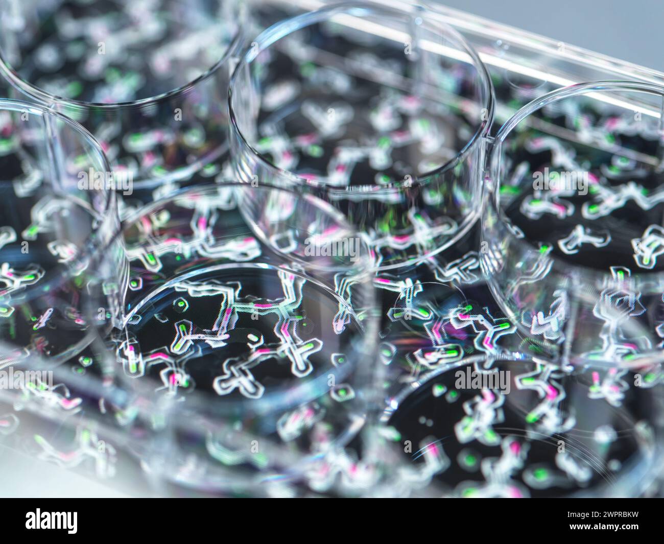 Protein research, conceptual image Stock Photo - Alamy