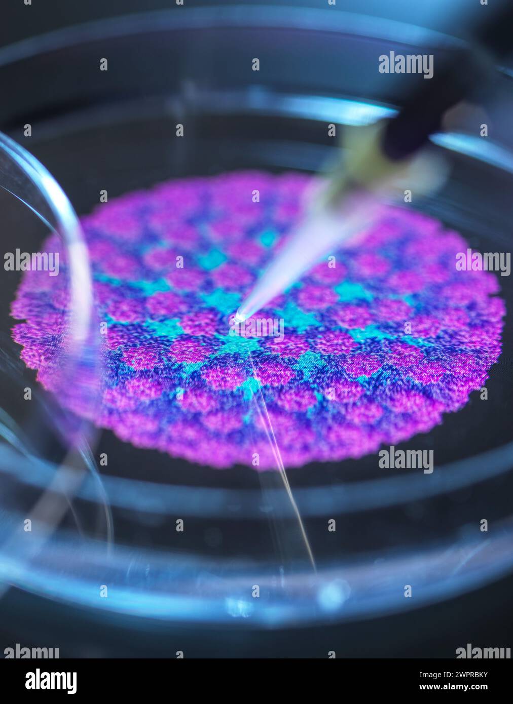 Bug research hi-res stock photography and images - Alamy