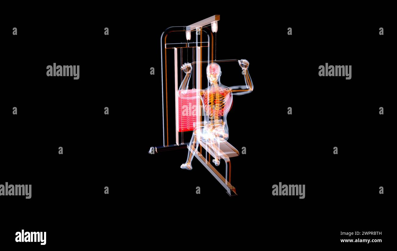 Man using lat pulldown machine, illustration Stock Photo - Alamy