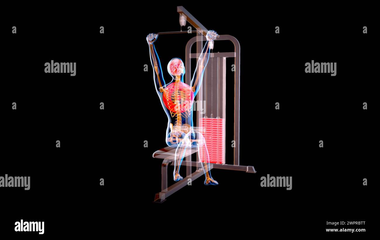 Man using lat pulldown machine, illustration Stock Photo - Alamy