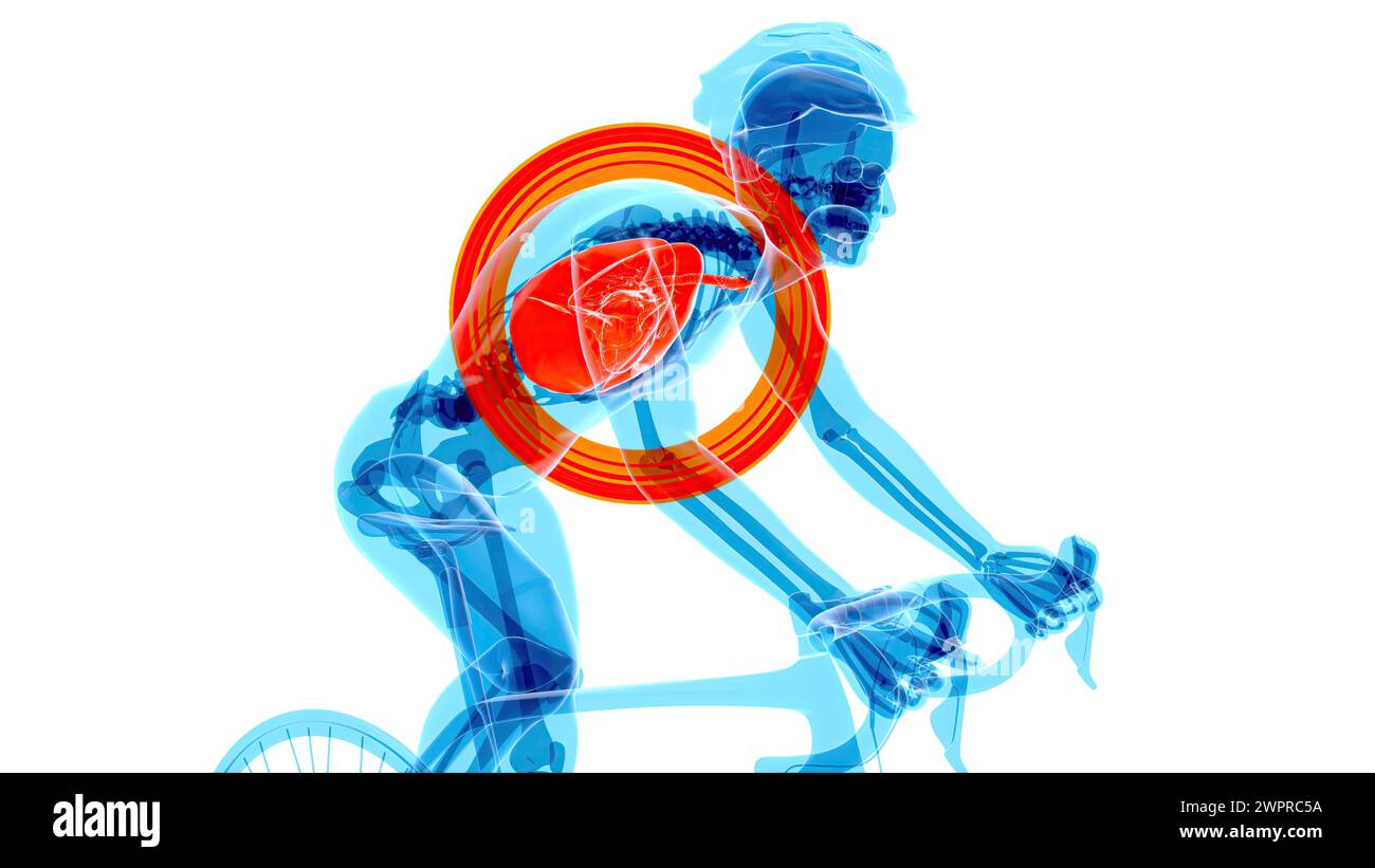 Cyclist illustration Cut Out Stock Images & Pictures - Alamy