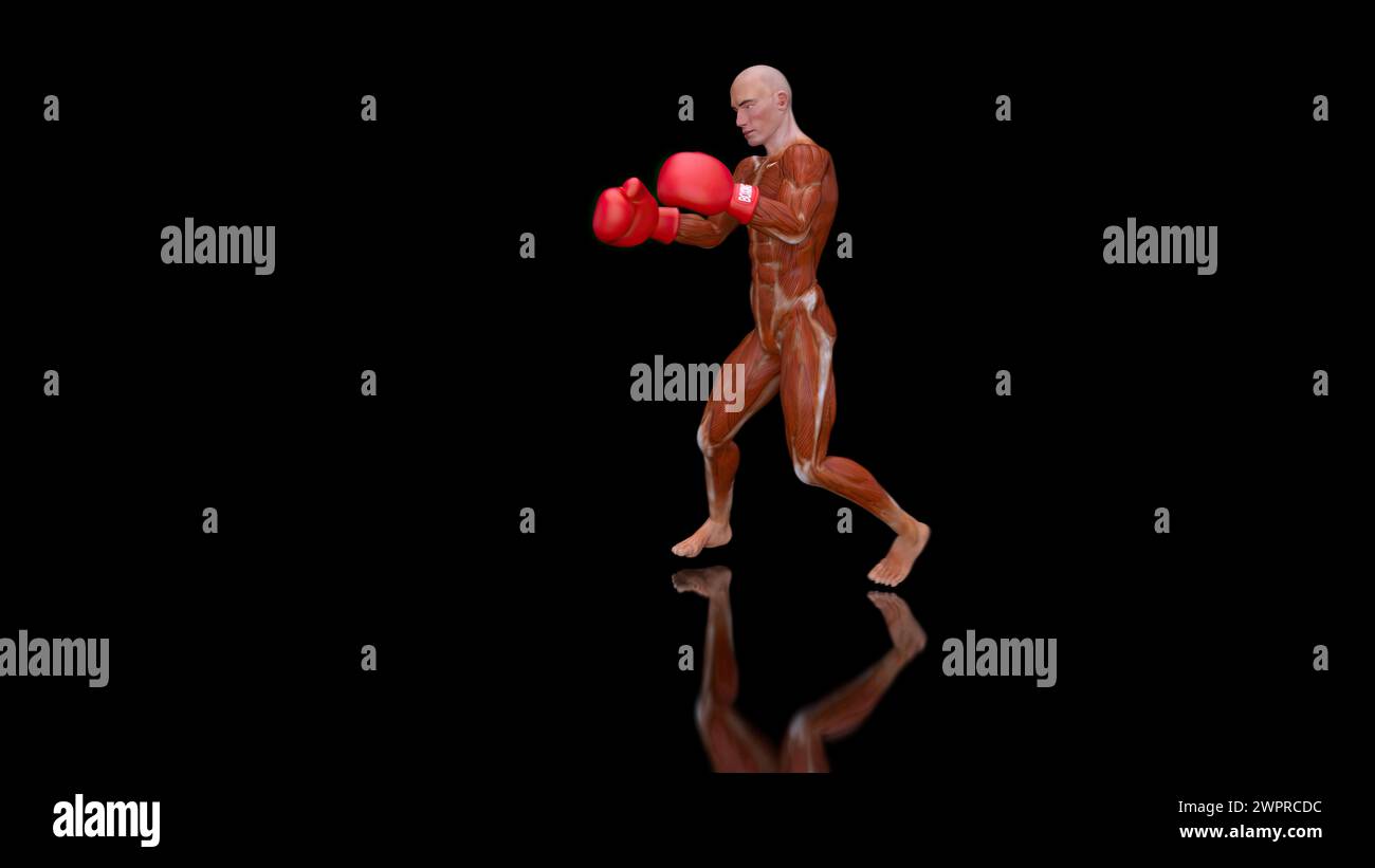 Boxer fighting man 3d hi-res stock photography and images - Alamy