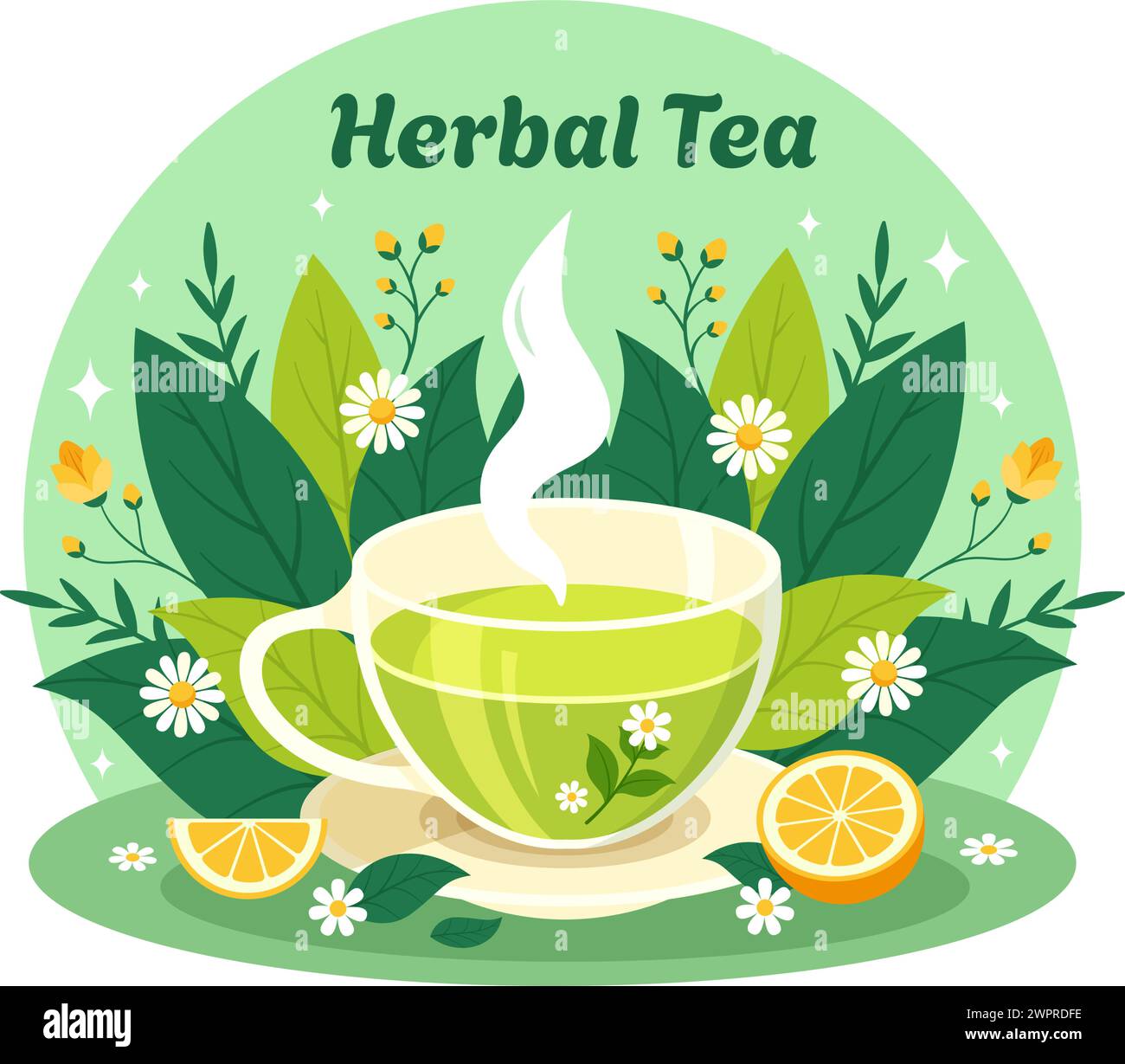 Herbal Tea Vector Illustration with Chamomile Leaves of Health Drink ...