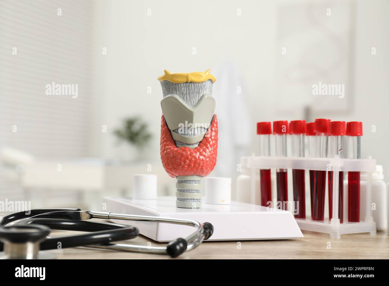 Endocrinology. Stethoscope, model of thyroid gland and blood samples in ...