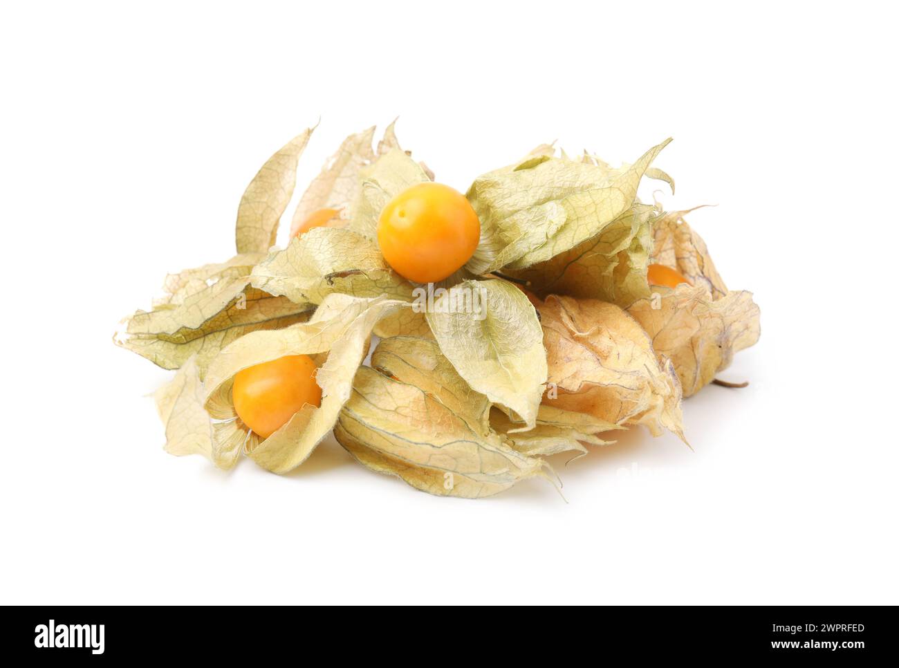 Calyxes Cut Out Stock Images & Pictures - Alamy