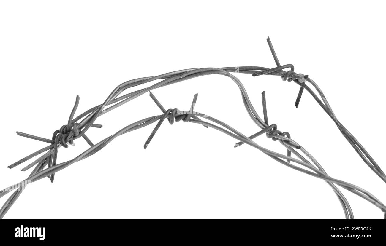 Shiny metal barbed wire isolated on white Stock Photo - Alamy