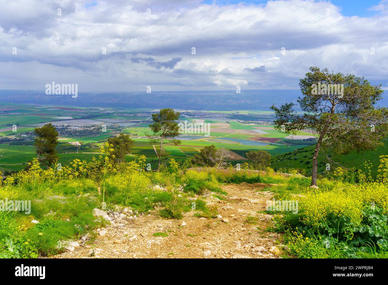 Winter view of the Jezreel valley countryside landscape, from the ...