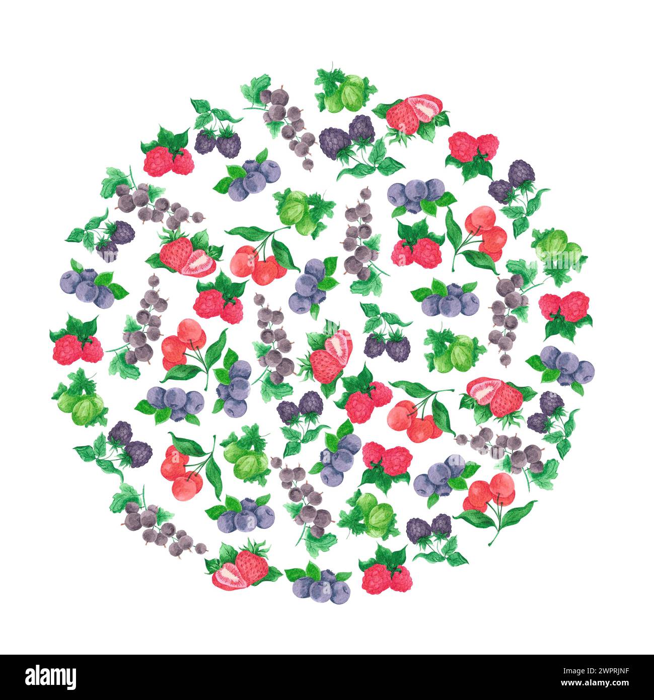 Hand drawn watercolor berries round composition with green leaves ...