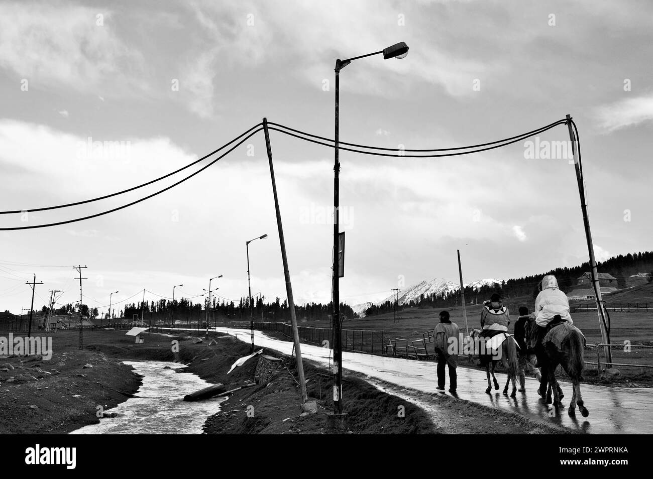 Horse riding, Gulmarg, Baramulla, Kashmir, Jammu and Kashmir, India ...
