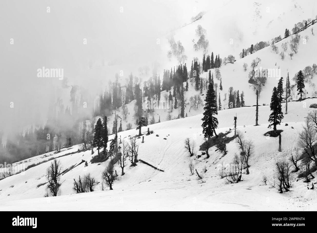 Snow landscape, Pir Panjal mountains, Kungdoor, Gulmarg, Baramulla ...