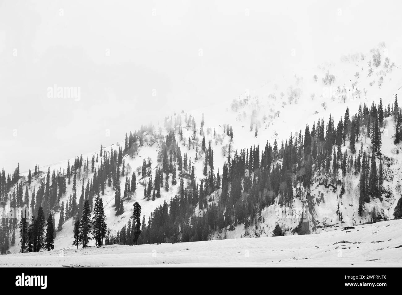 Snow landscape, Pir Panjal mountains, Kungdoor, Gulmarg, Baramulla ...