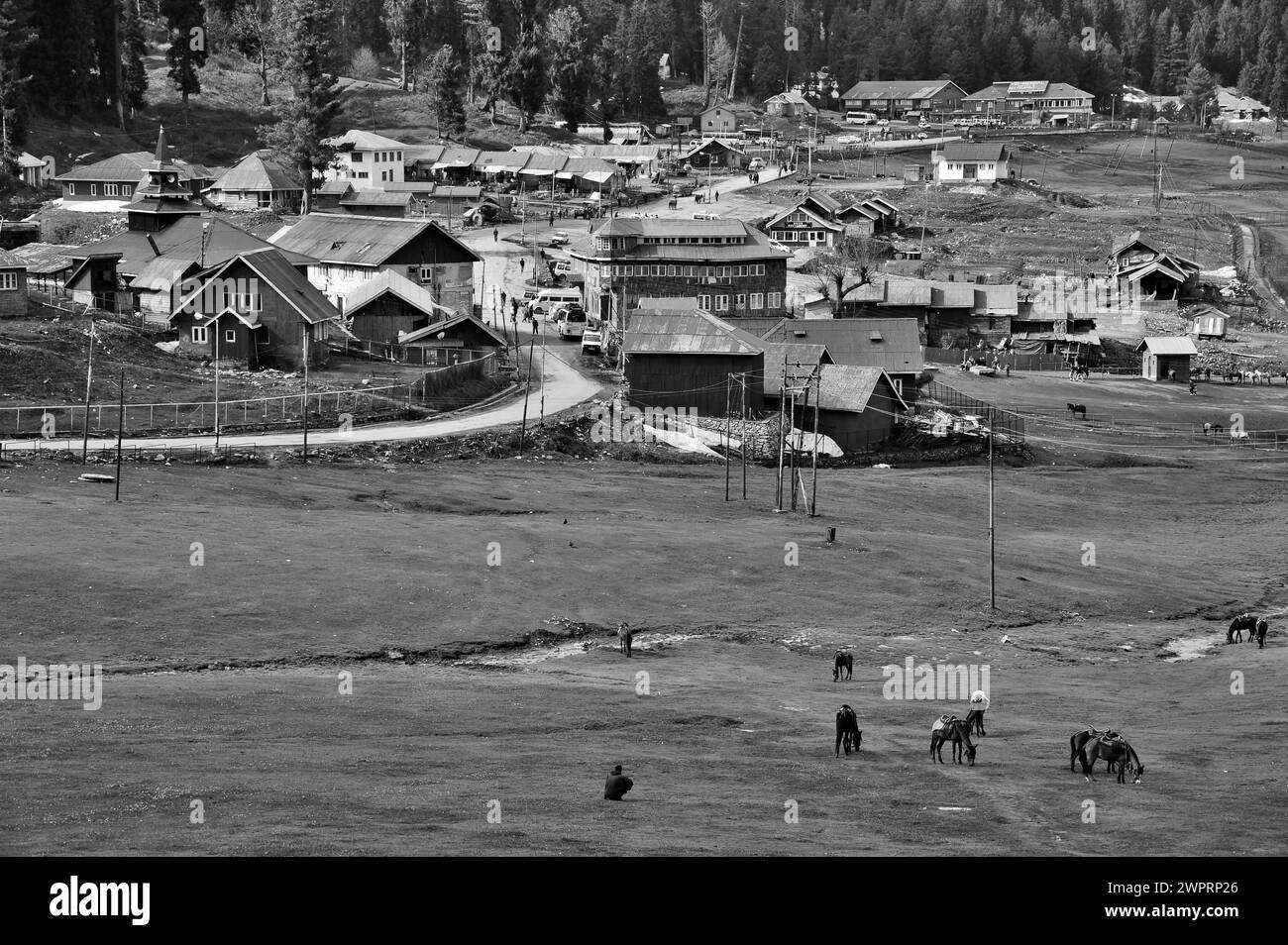 Hill Station, Gulmarg, Baramulla, Kashmir, Jammu and Kashmir, India ...