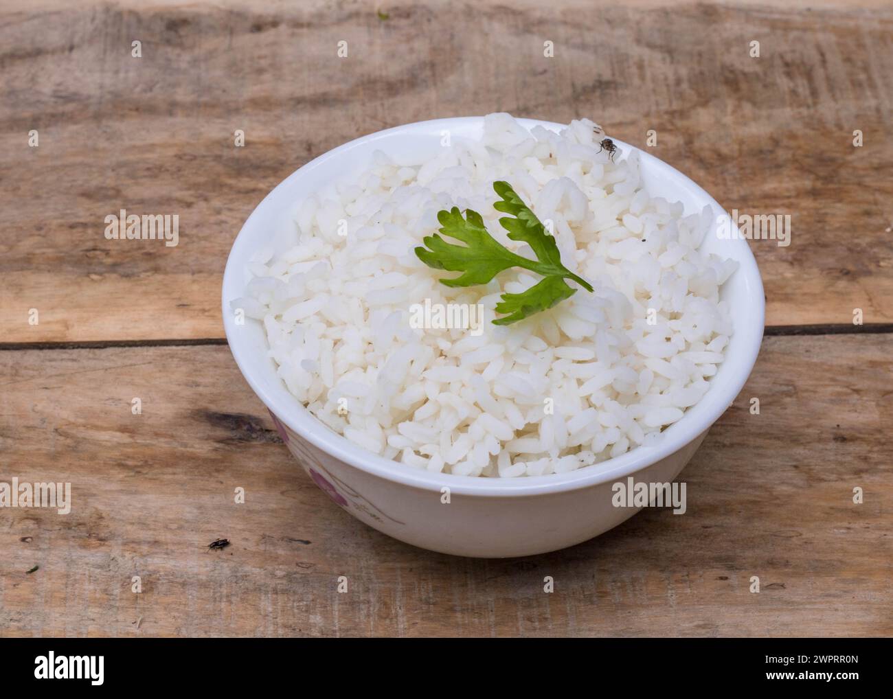 Closeup white cooked rice hi-res stock photography and images - Alamy