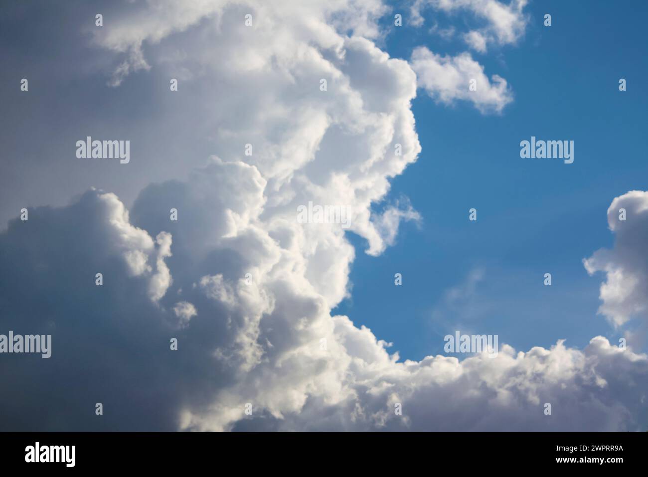 Fluffy cumulus clouds float in the azure sky, illuminated by soft ...