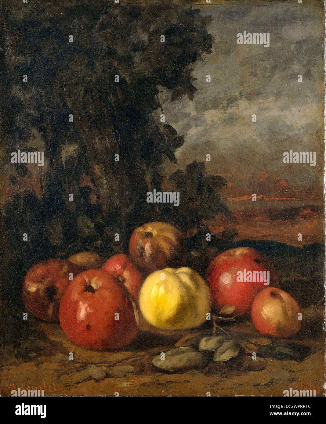 Still Life with Apples (1872) Gustave Courbet Stock Photo - Alamy