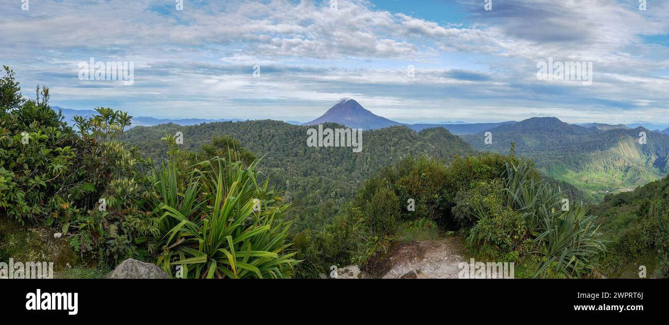 Scenic panoramic view on dense tropical forest with smoking Gunung ...