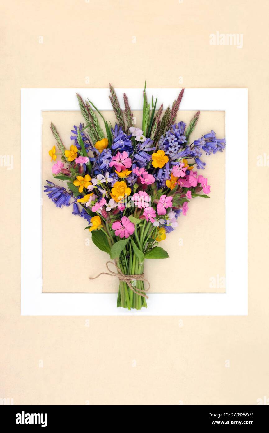 Spring wildflower posy background frame with bluebell, red campion ...