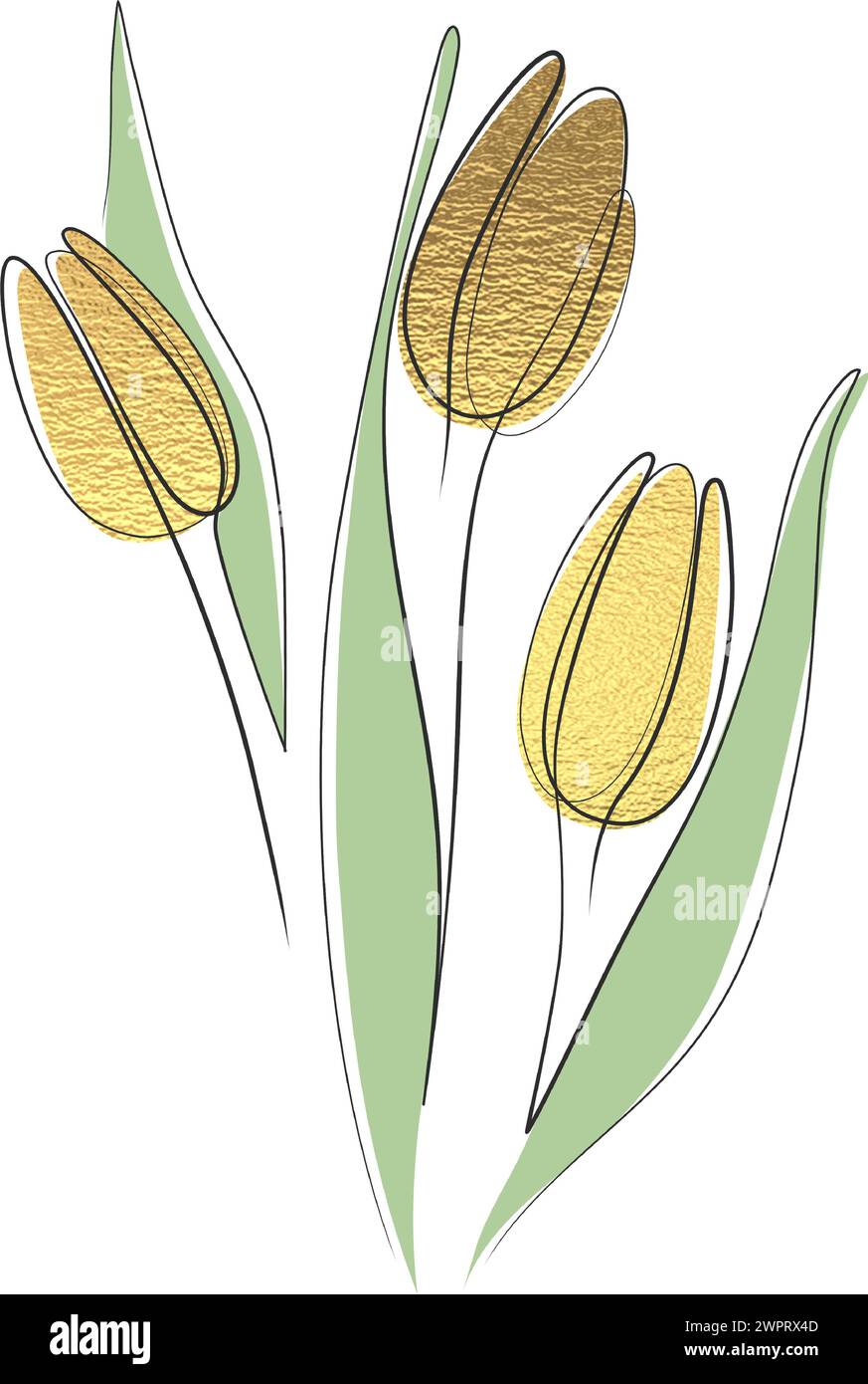 golden green tulips lineart Stock Vector Image & Art - Alamy