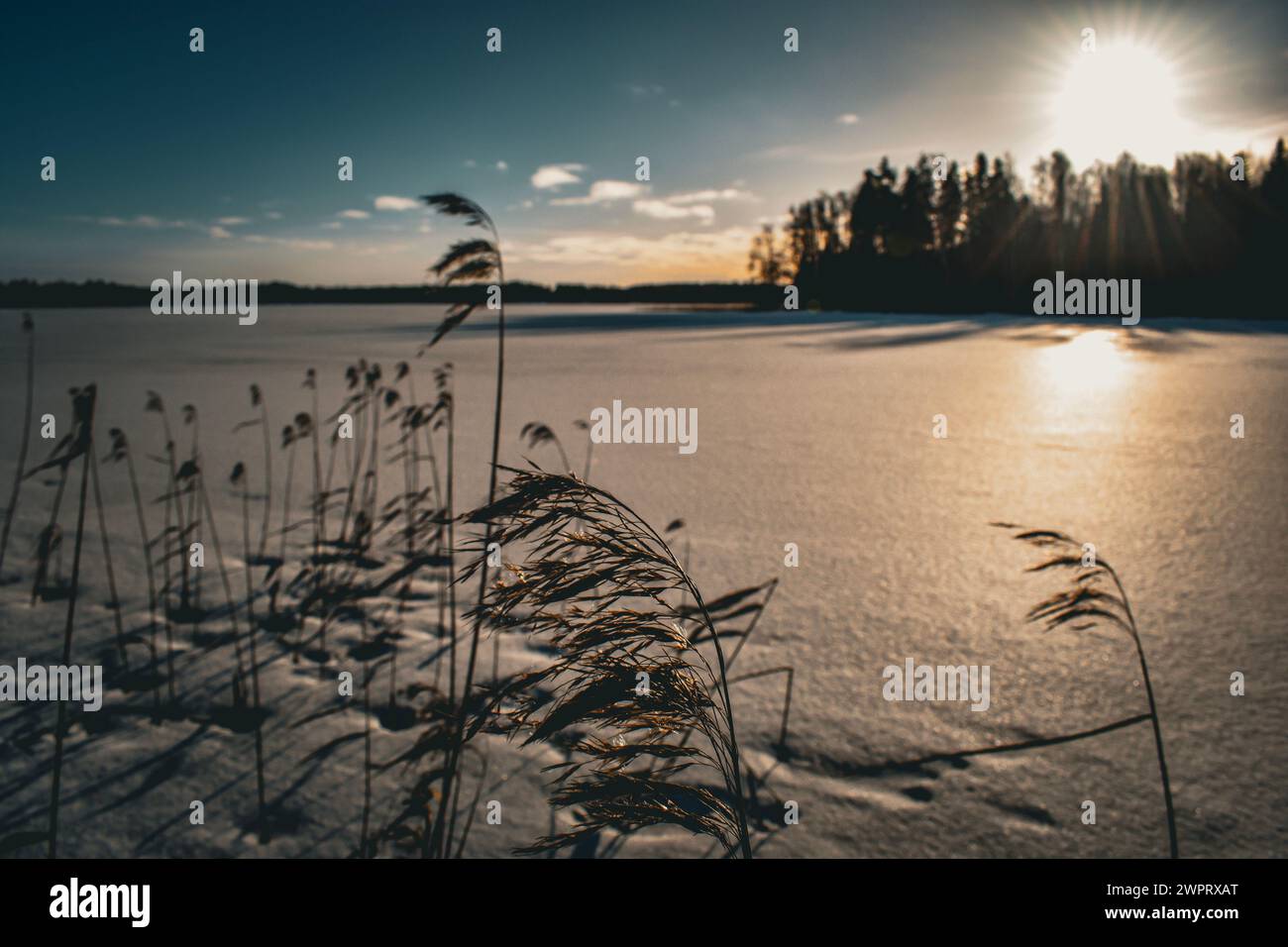Great view by a frozen lake in Finland Stock Photo - Alamy