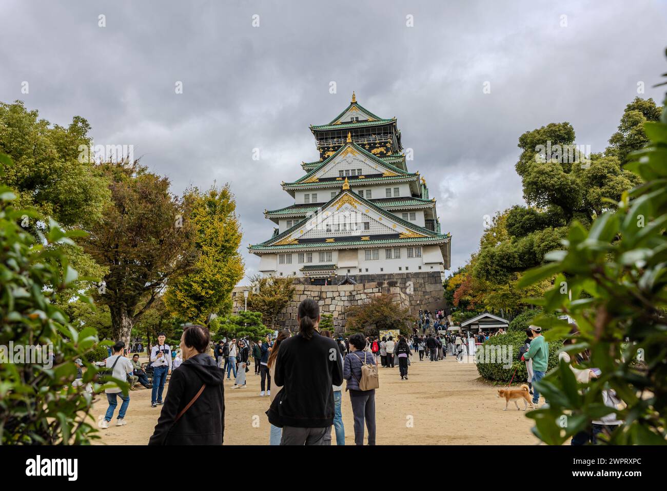 A group of people visiting Osaka Castle in Osaka, Japan Stock Photo - Alamy