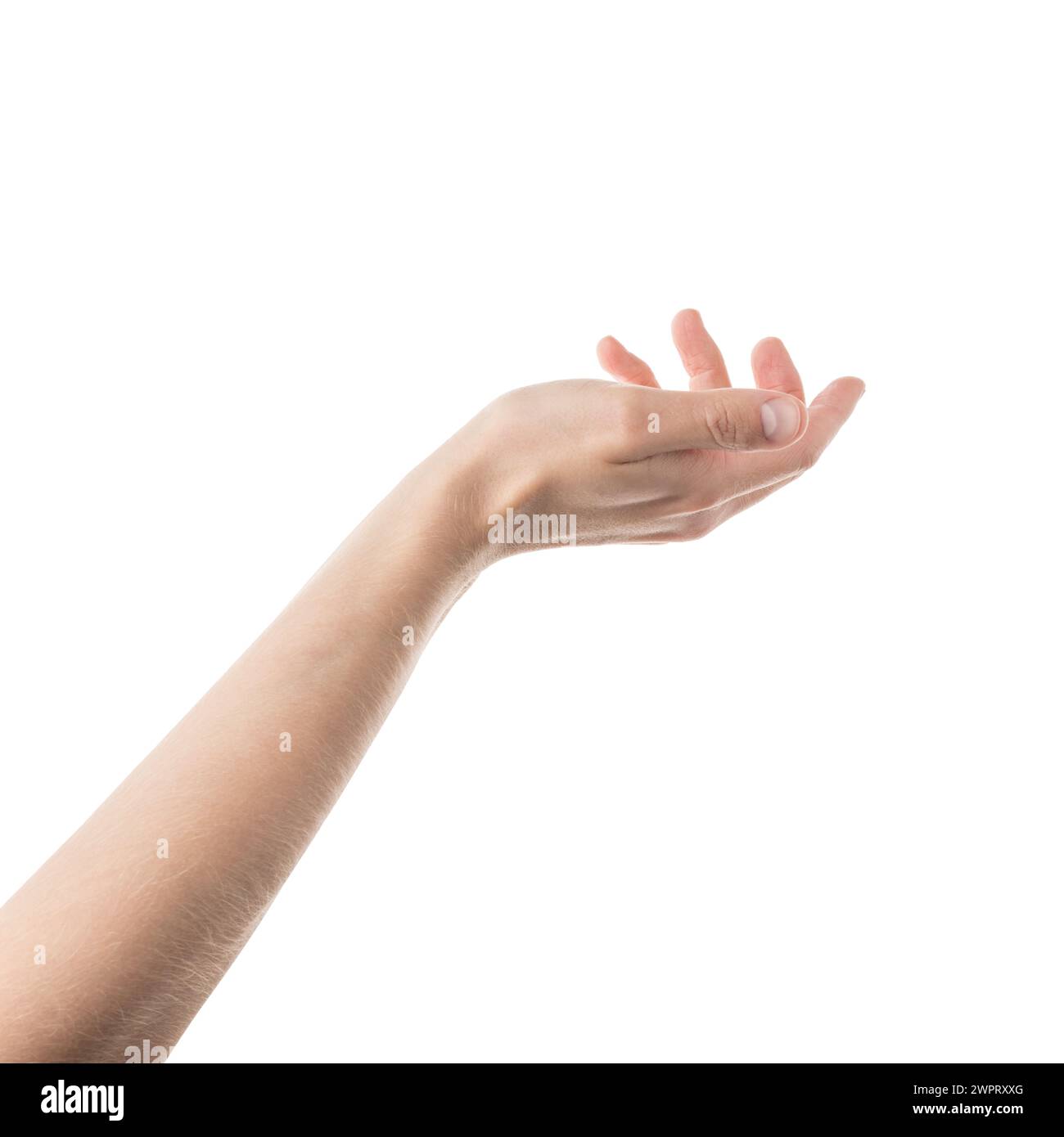 Adult man hand holding something isolated on white background, high ...