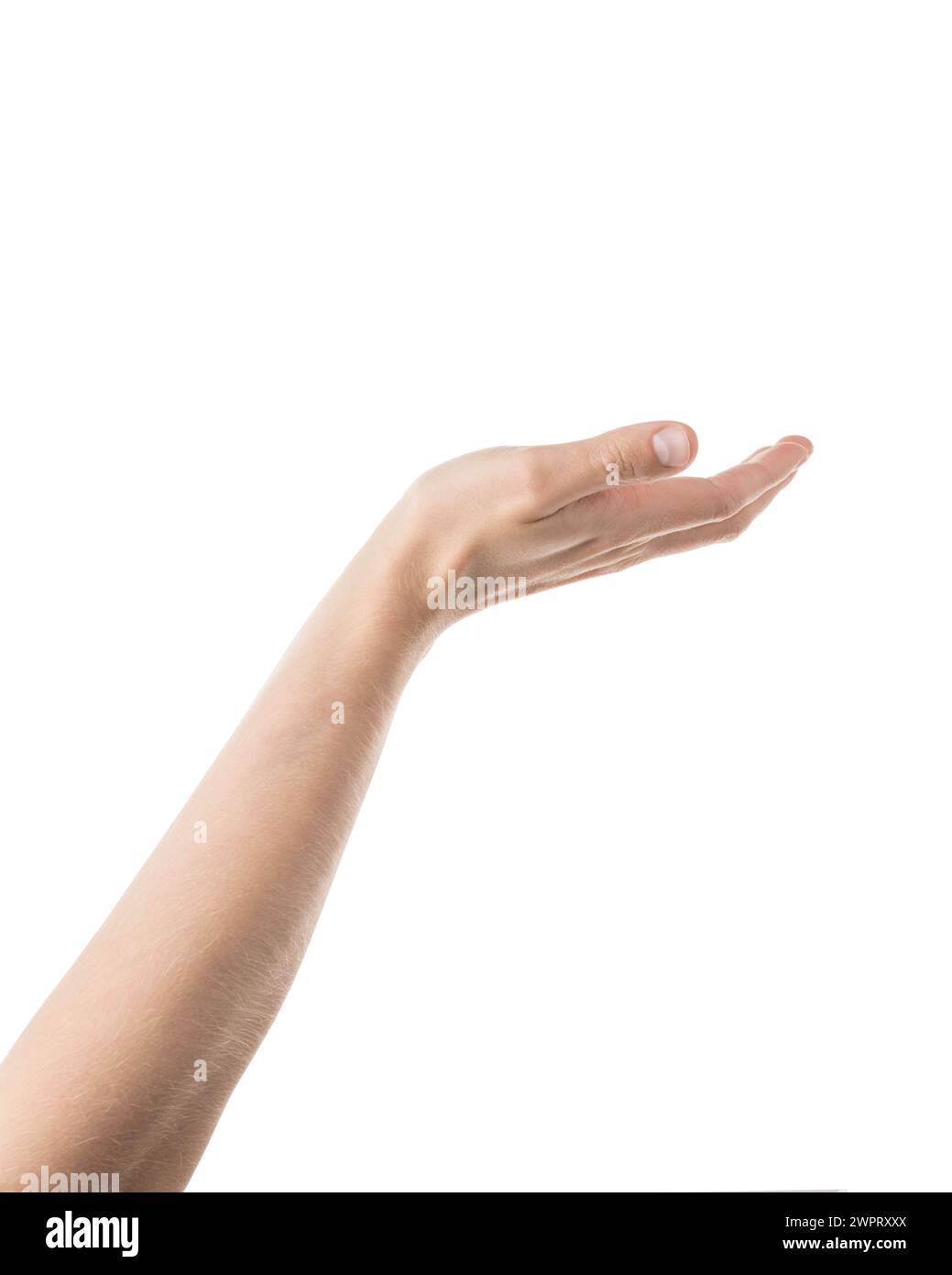 Adult man hand holding something isolated on white background, high ...