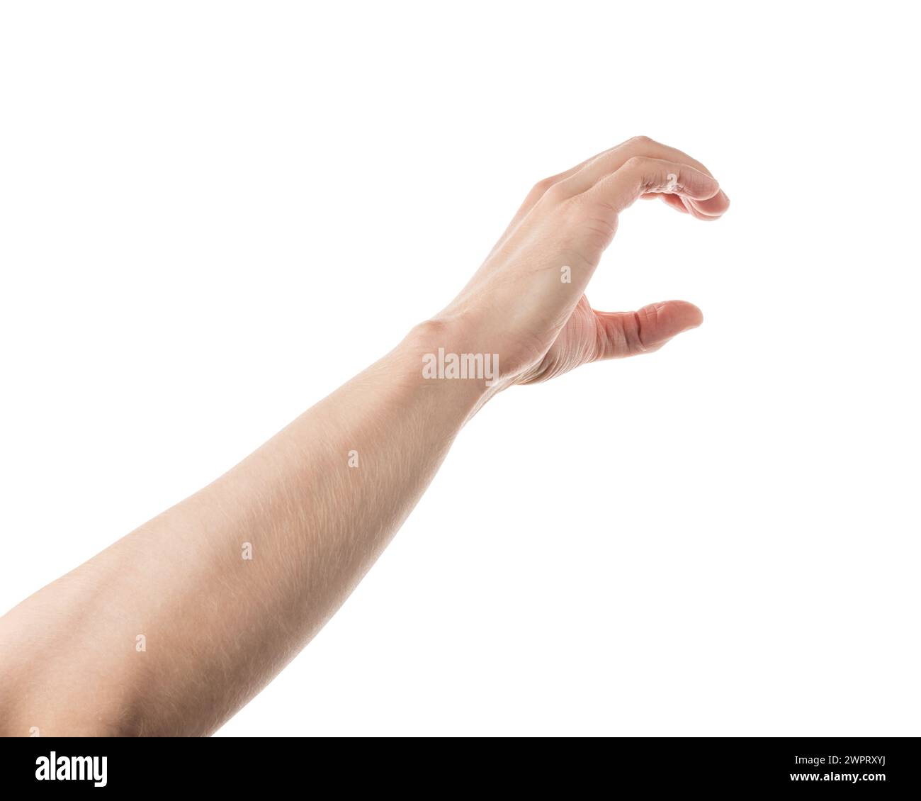 Adult man hand hold something with fingers isolated on white background, high detailed Stock ...