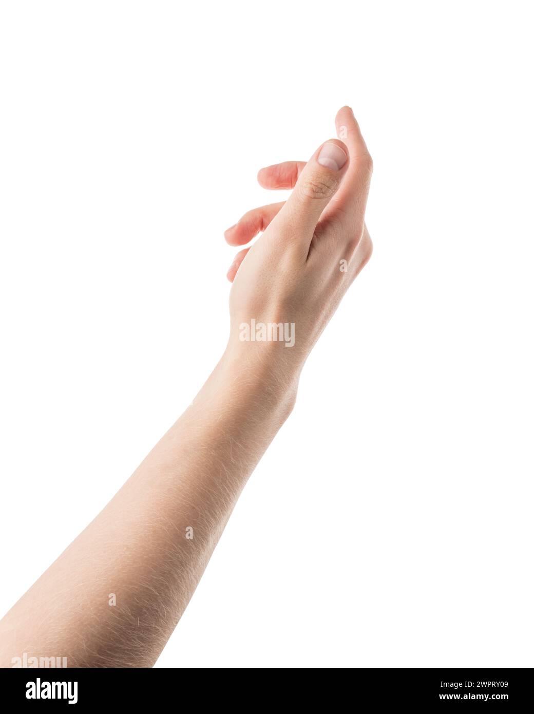 Adult man hand reaching gesture isolated on white background, high ...