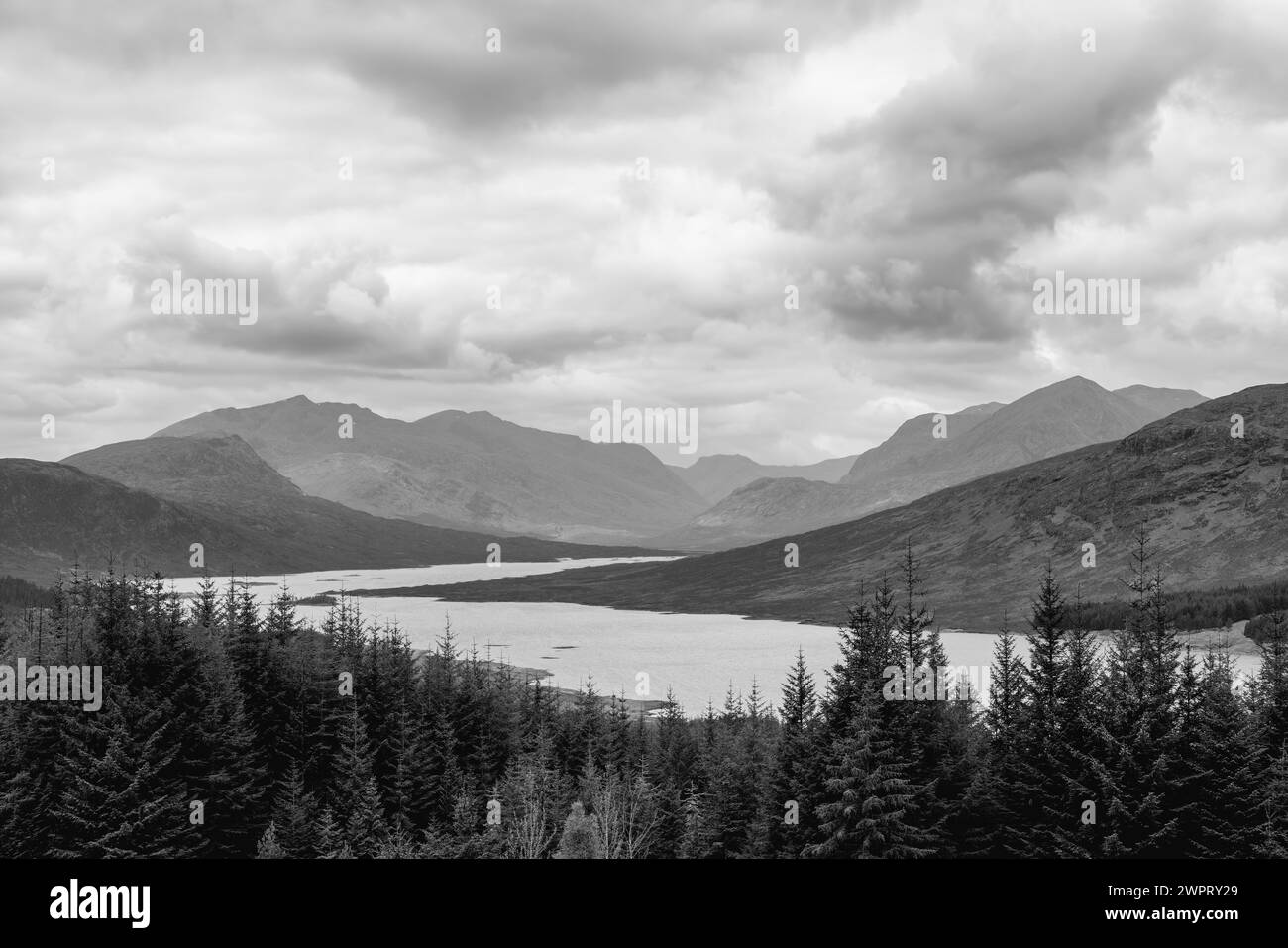 Overlooking Loch Loyne, this grayscale landscape showcases the rugged ...