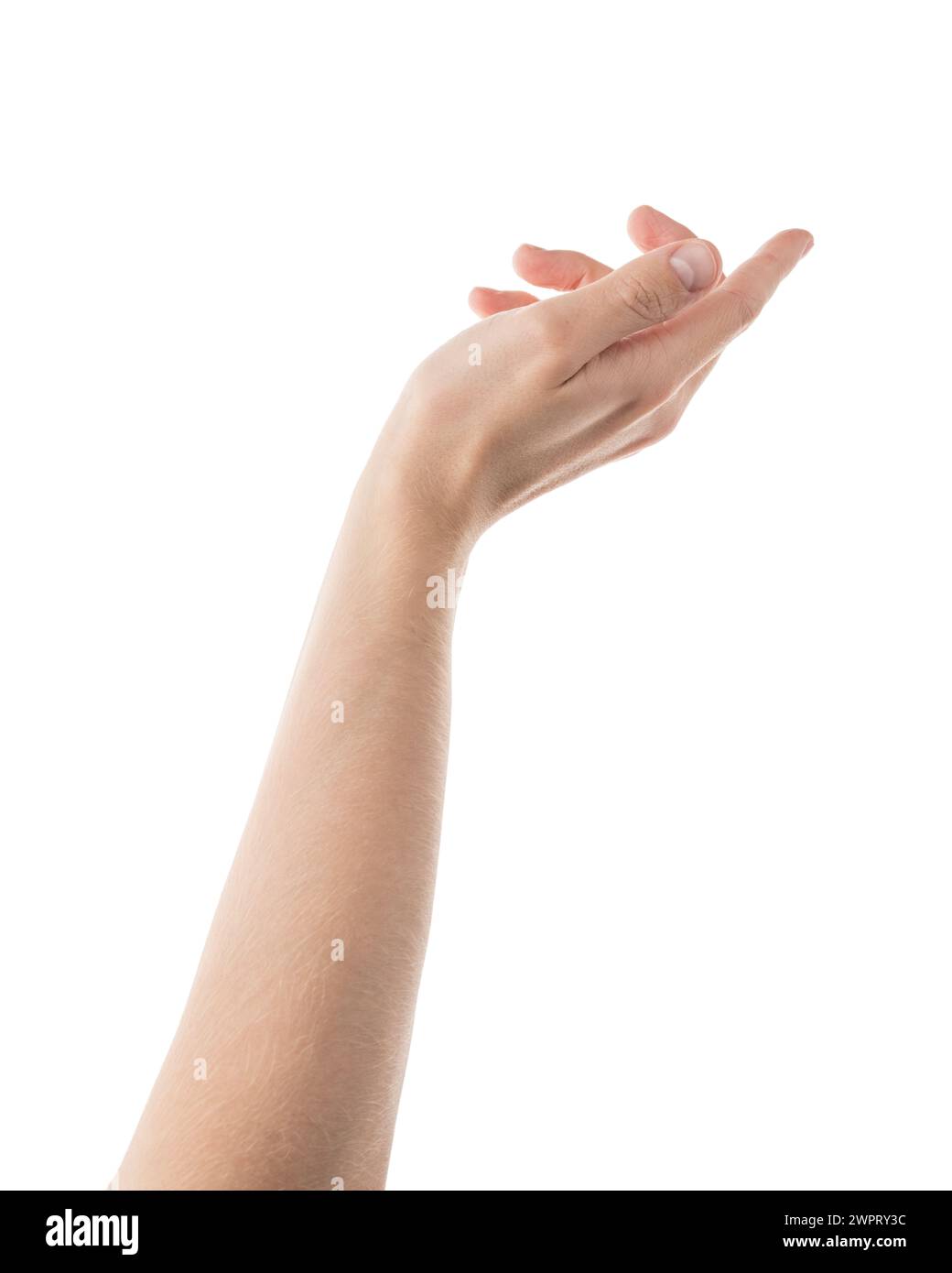 Adult man hand holding something isolated on white background, high ...