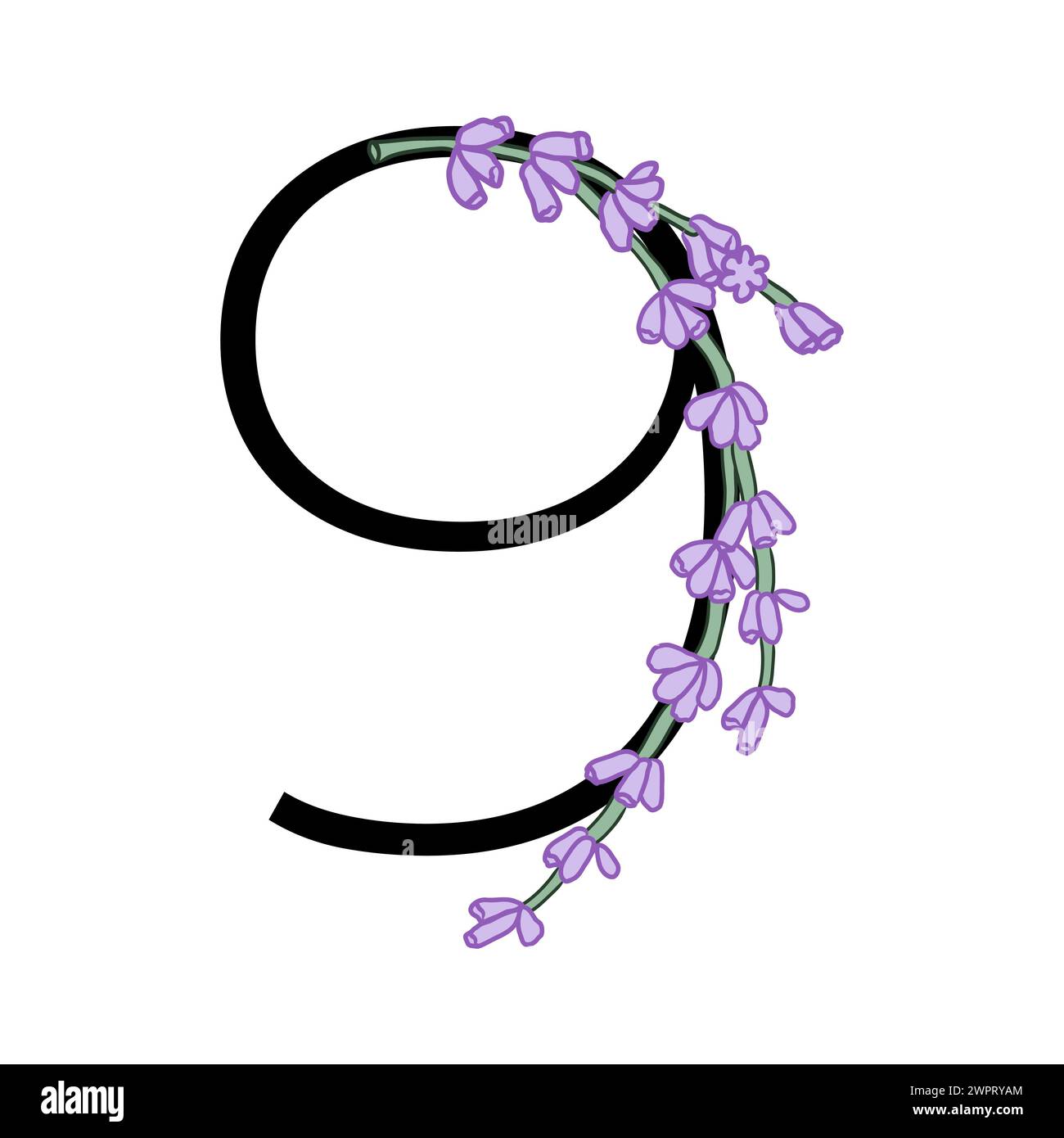 Lavender blossom violet little flower hand drawing number for wedding ...