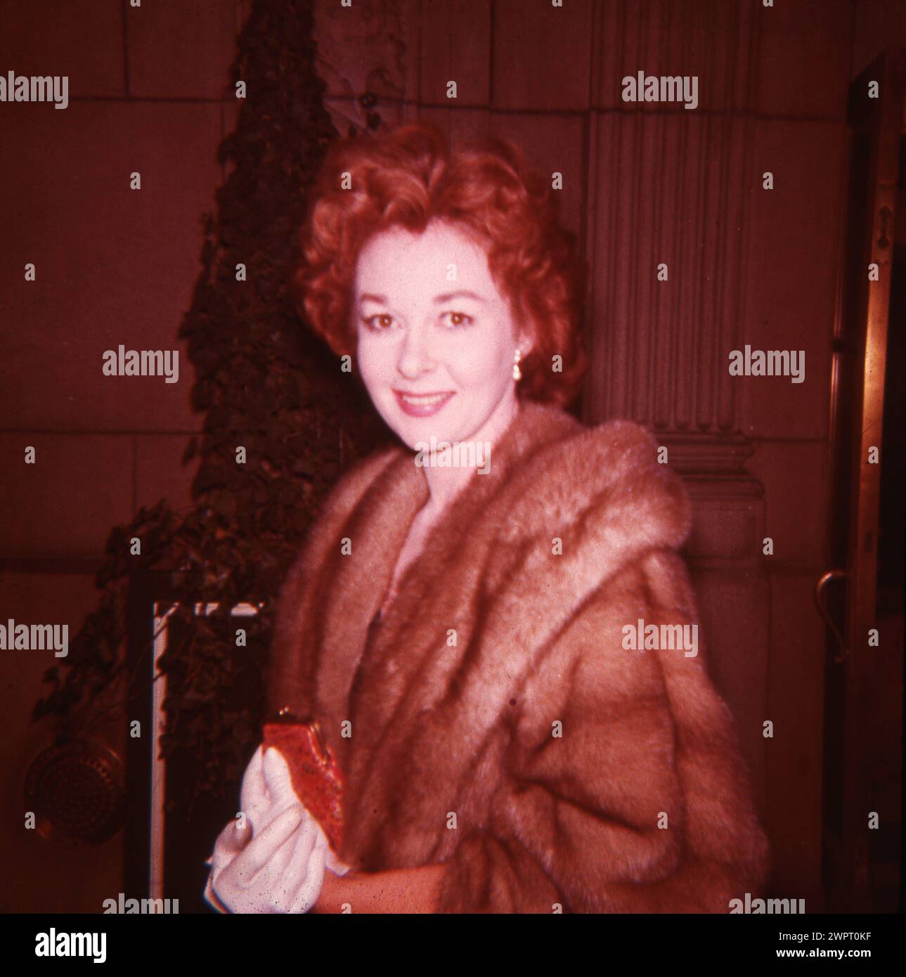 Susan hayward actress hi-res stock photography and images - Alamy