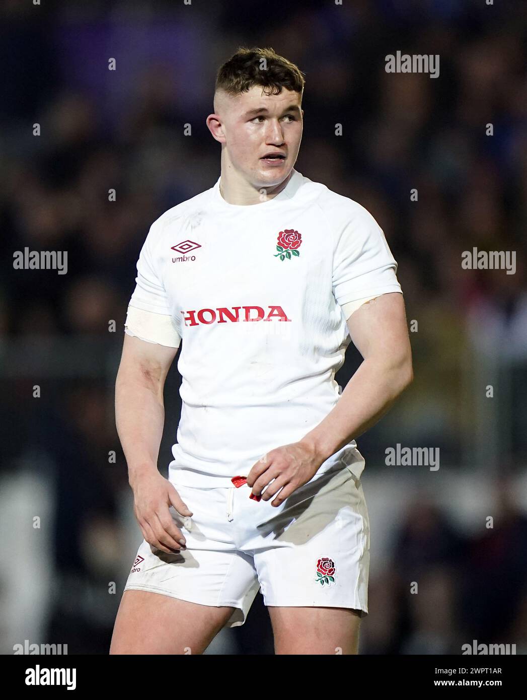 Ben waghorn hi-res stock photography and images - Alamy