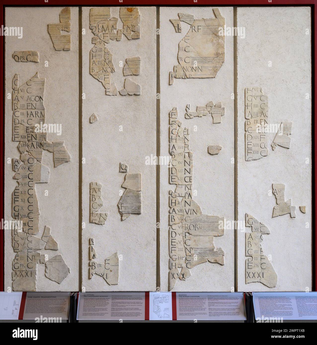 Verrius flacus hi-res stock photography and images - Alamy