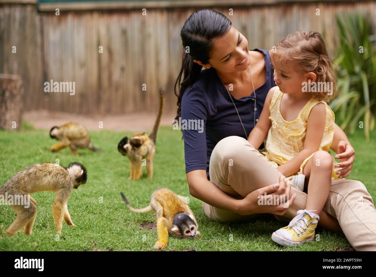 People, child and monkey in nature outdoor at sanctuary or ...