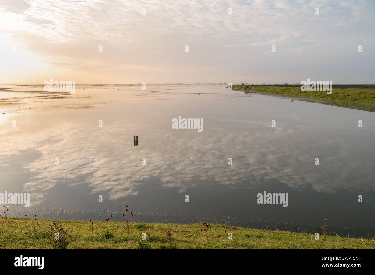 Fields covered in sea water at high tide in the Wash, England Stock ...