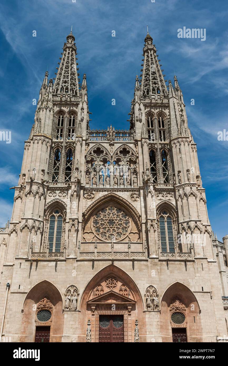 Cathedral of the Virgin Mary, Leon, church, sacred building, building ...