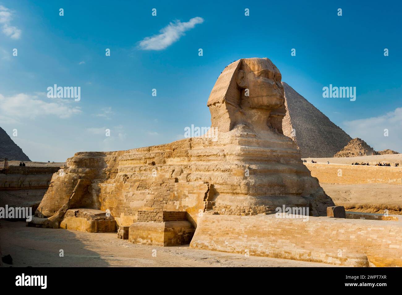 Sphinx of Giza, desert, wonder of the world, building, sculpture ...