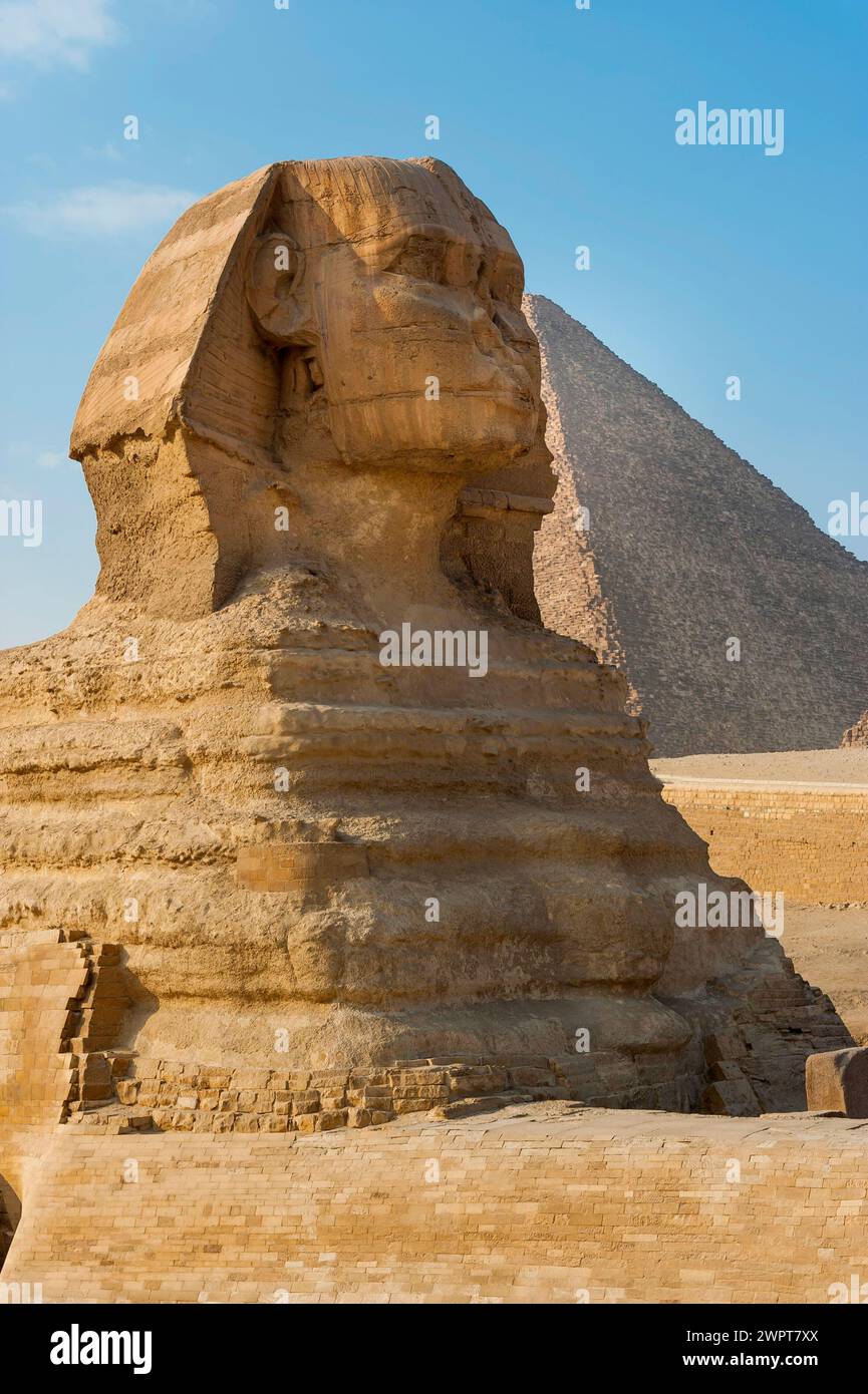 Sphinx of Giza, desert, wonder of the world, building, sculpture ...