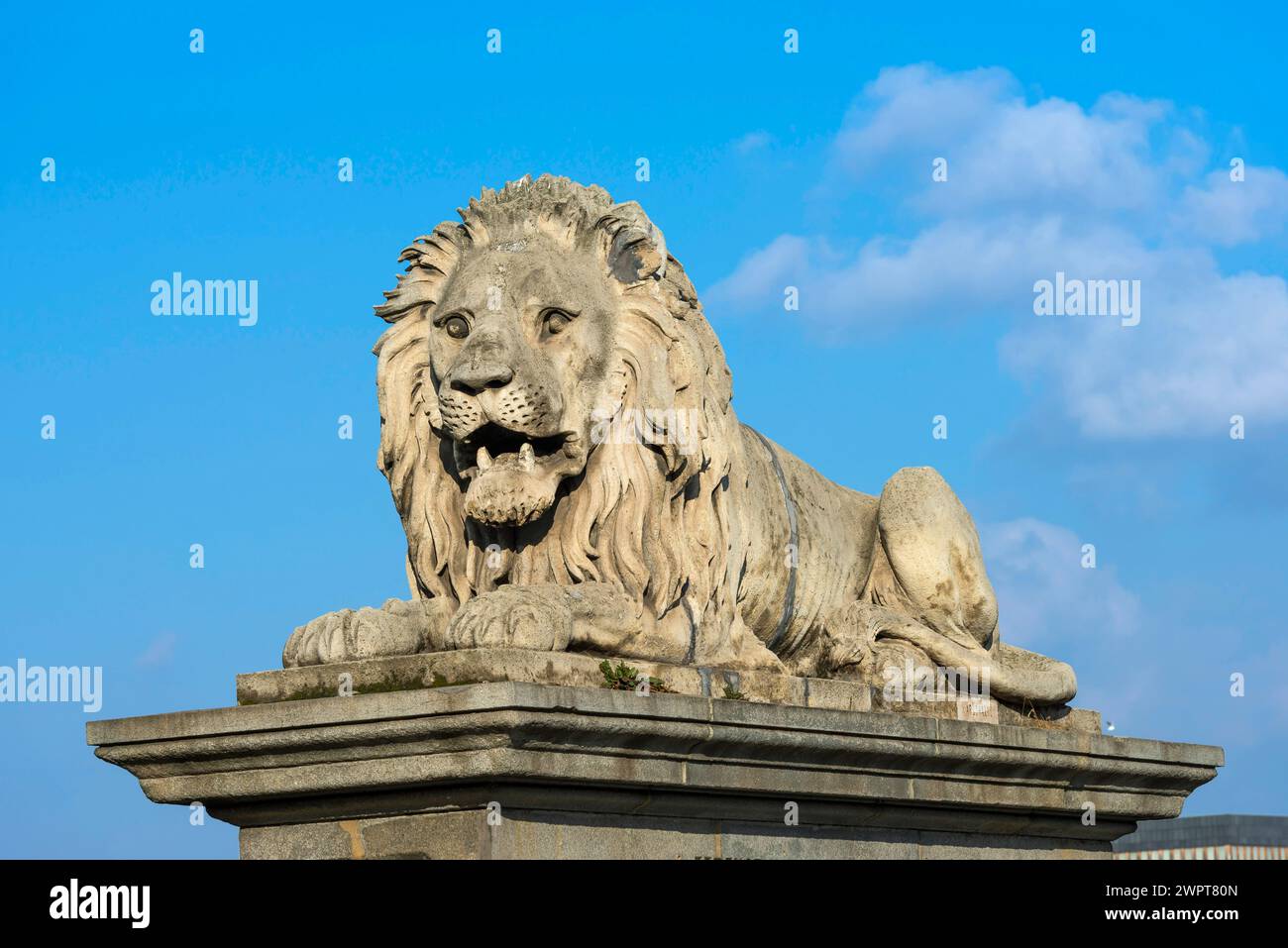 Lion of the Chain Bridge, travel, city trip, tourism, Eastern Europe ...