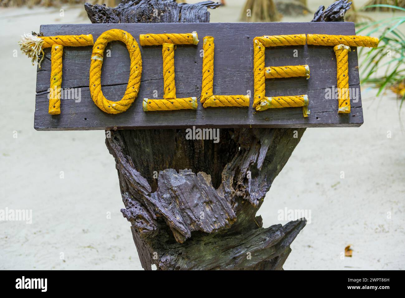 Signpost to toilet, hint, sign, international, language, word, WC ...
