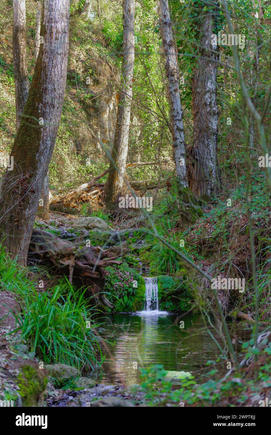 Mountain scenery with a stream of crystal clear water flowing through ...