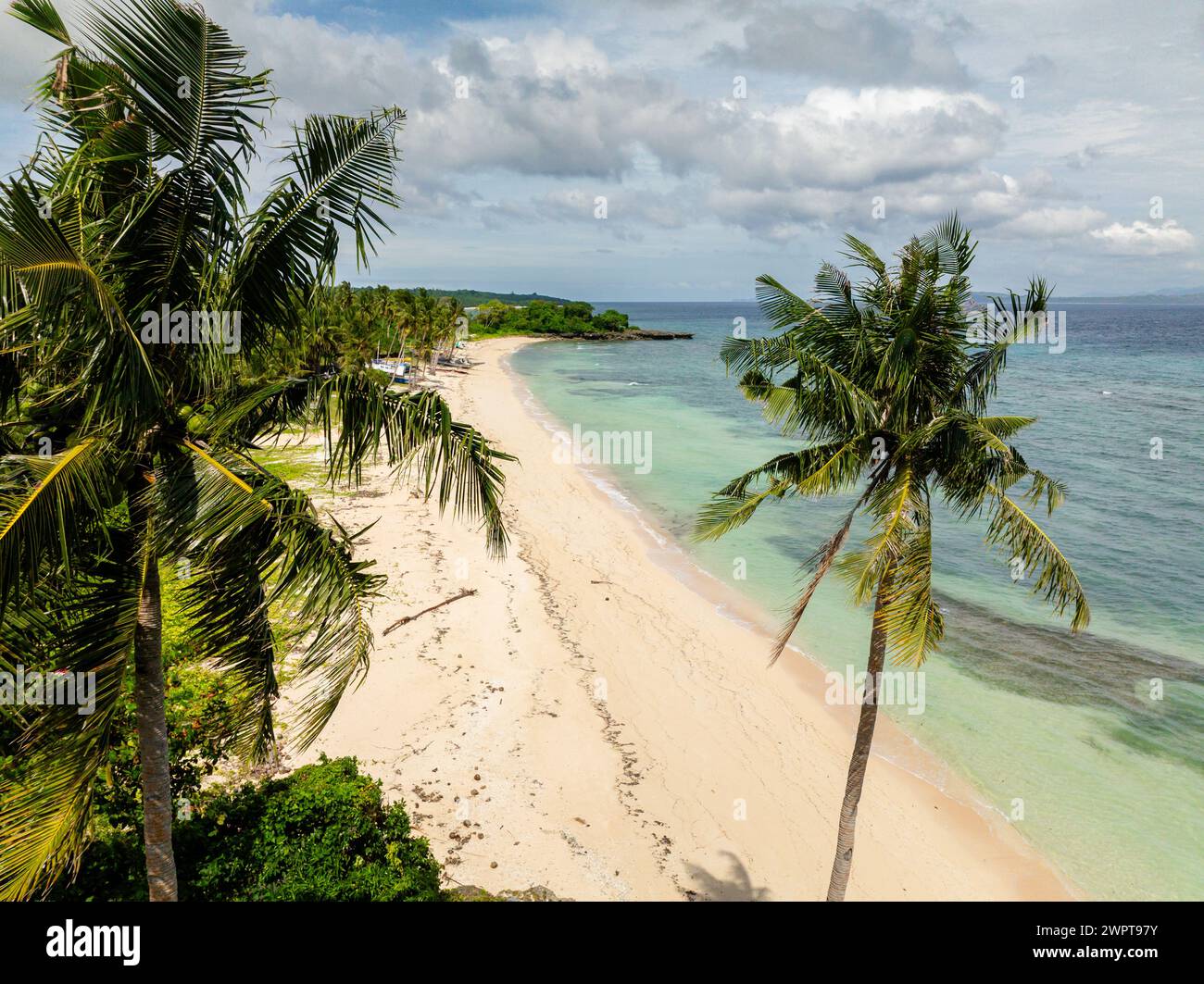 Beach and coconut palm trees in Carabao Island, Romblon. Blue sky and ...