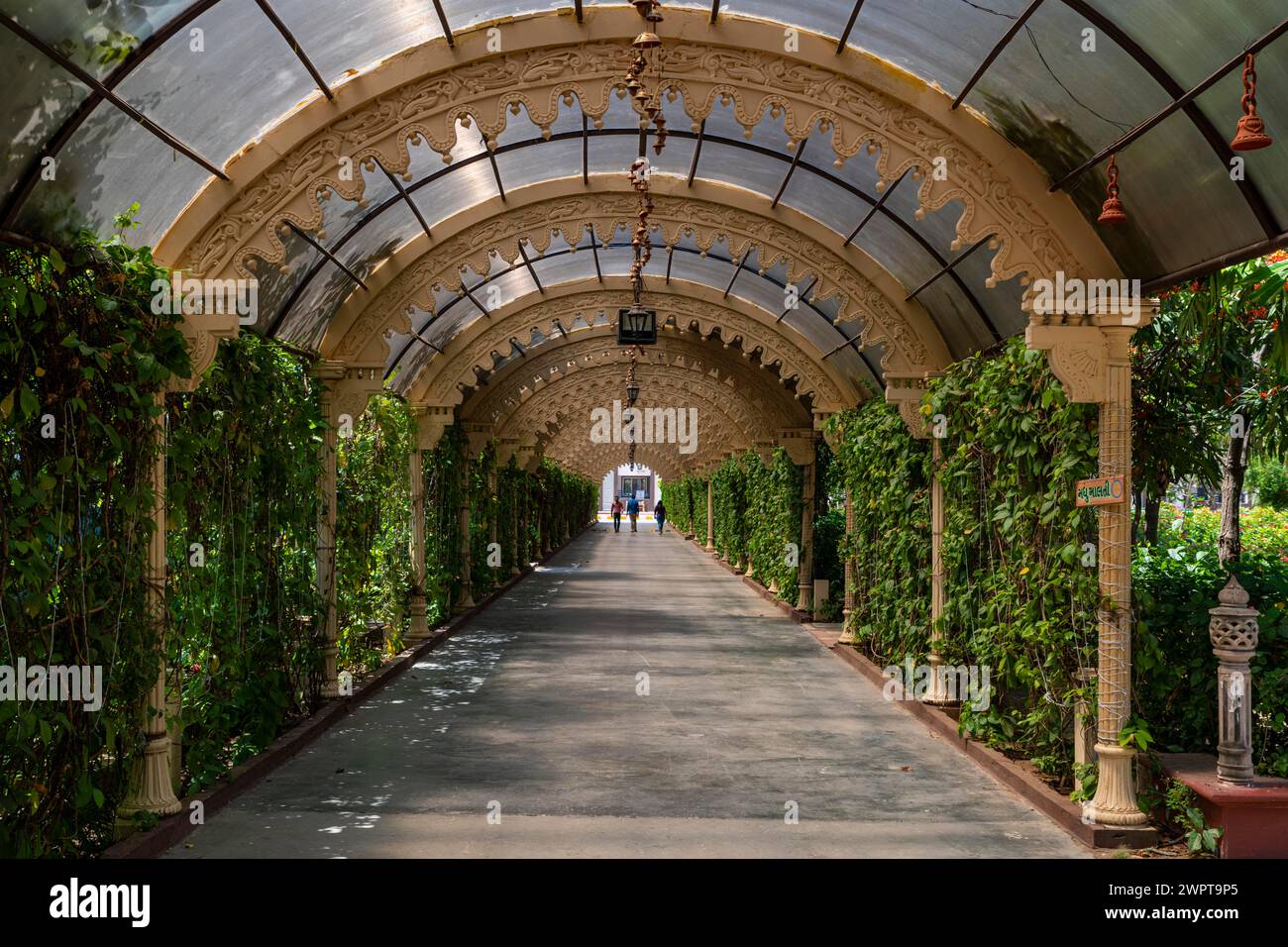 Overgrown pathway, Dharamshala Manilaxmi Tirth Jain temple, Gujarat ...