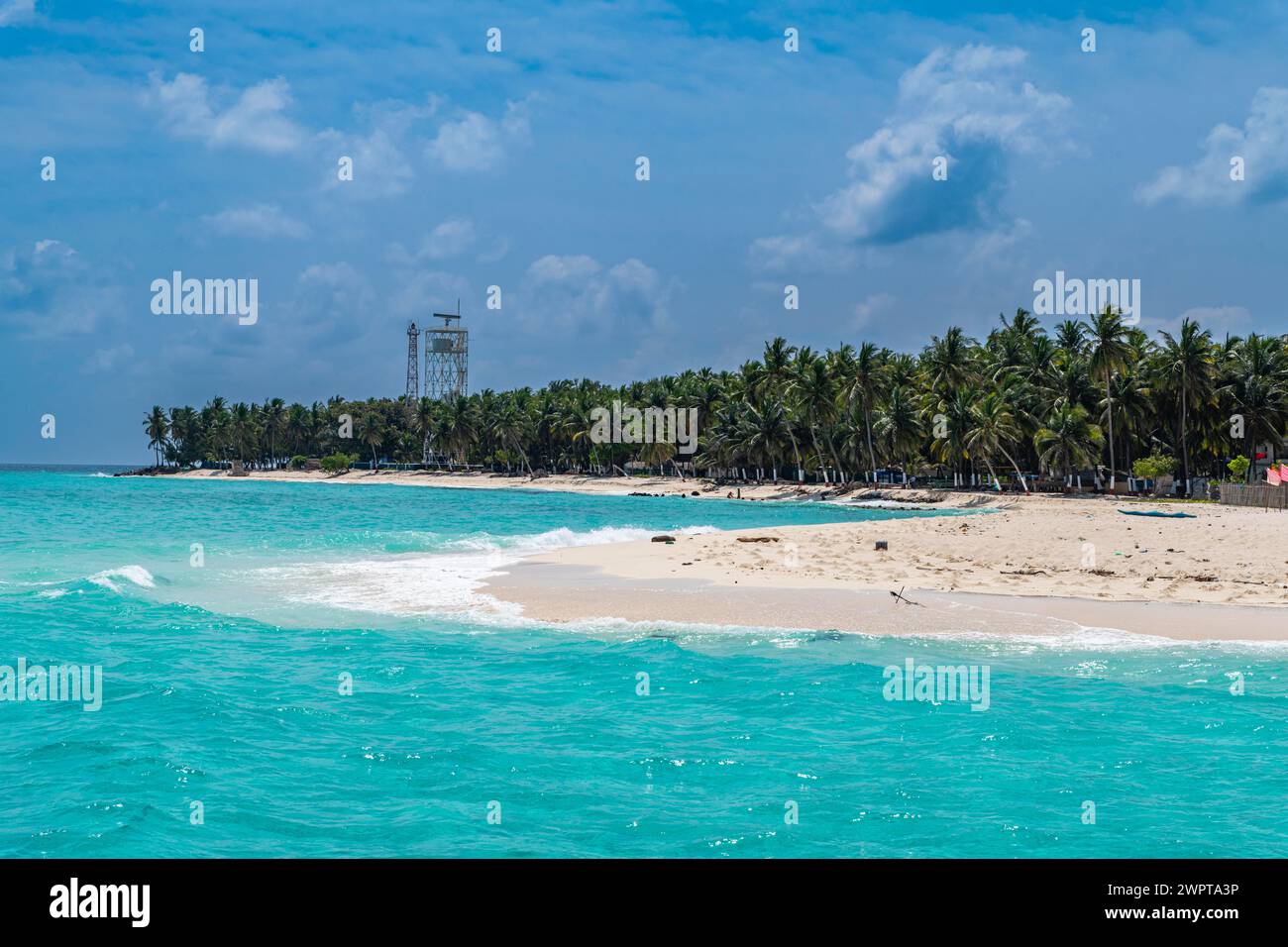 Palm fringed white sand beach, Agatti Island, Lakshadweep archipelago ...