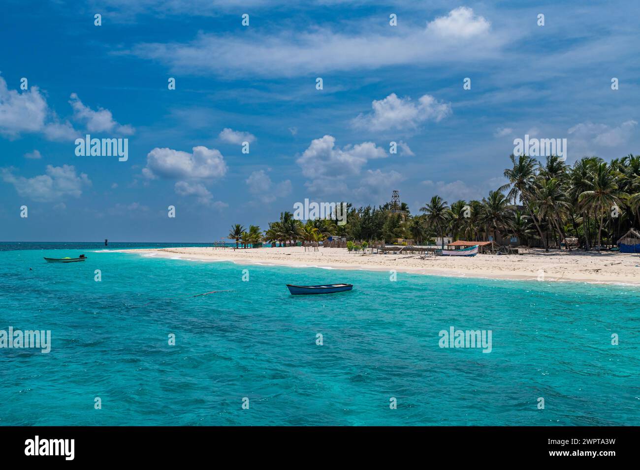 Palm fringed white sand beach, Agatti Island, Lakshadweep archipelago ...