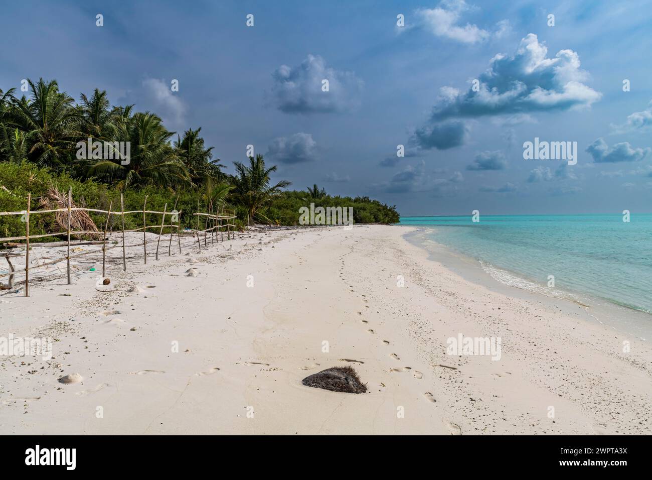 White sand beach, Parli 1 island, Lakshadweep archipelago, Union ...