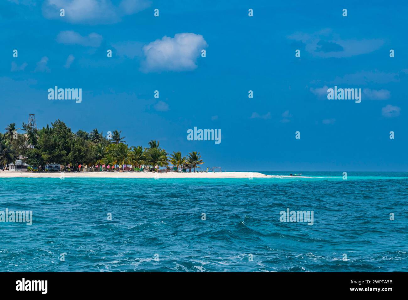Palm fringed white sand beach, Agatti Island, Lakshadweep archipelago ...