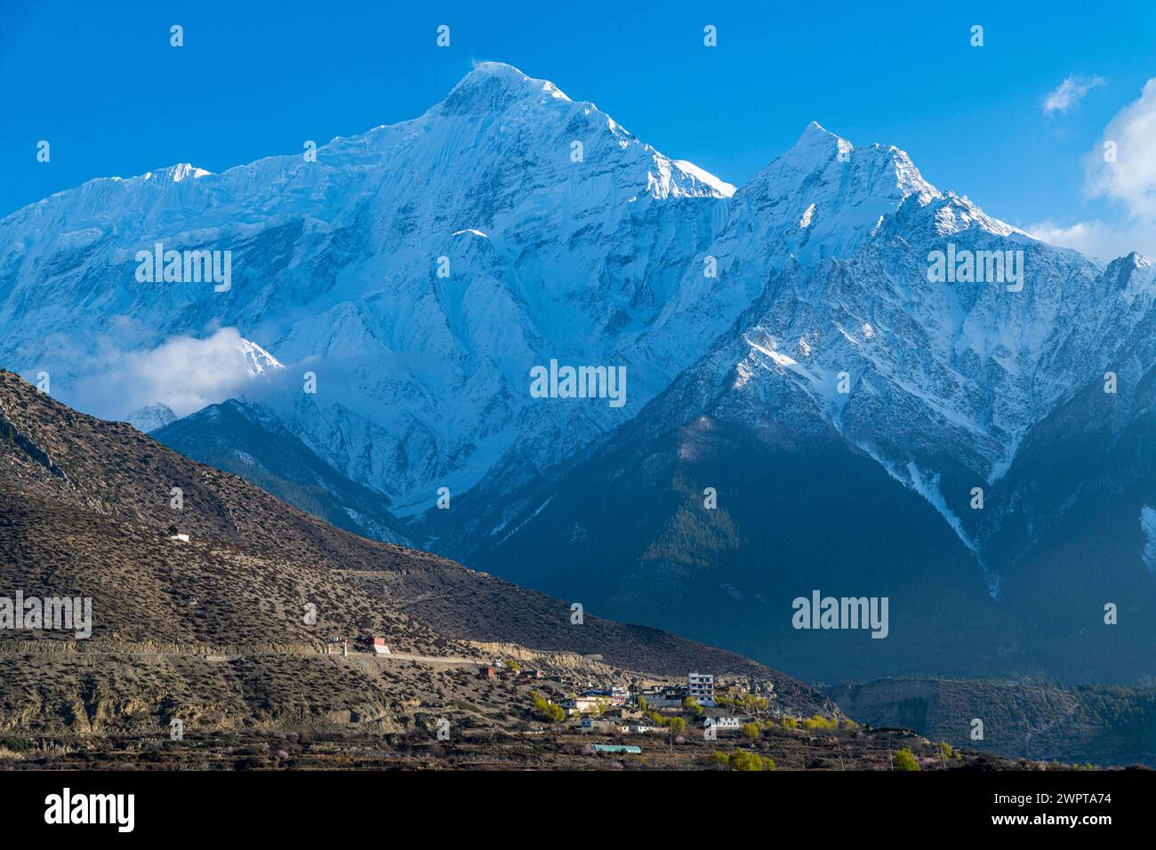 Nilgiri nepal hi-res stock photography and images - Alamy